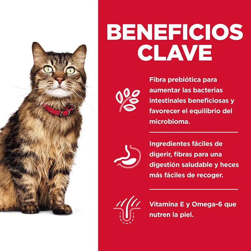 Hills Sensitive Skin & Stomach Alimento Para Gato Adulto Piel y ...