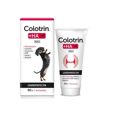 Productos salud y bienestar mascotas - Club de Perros y Gatos