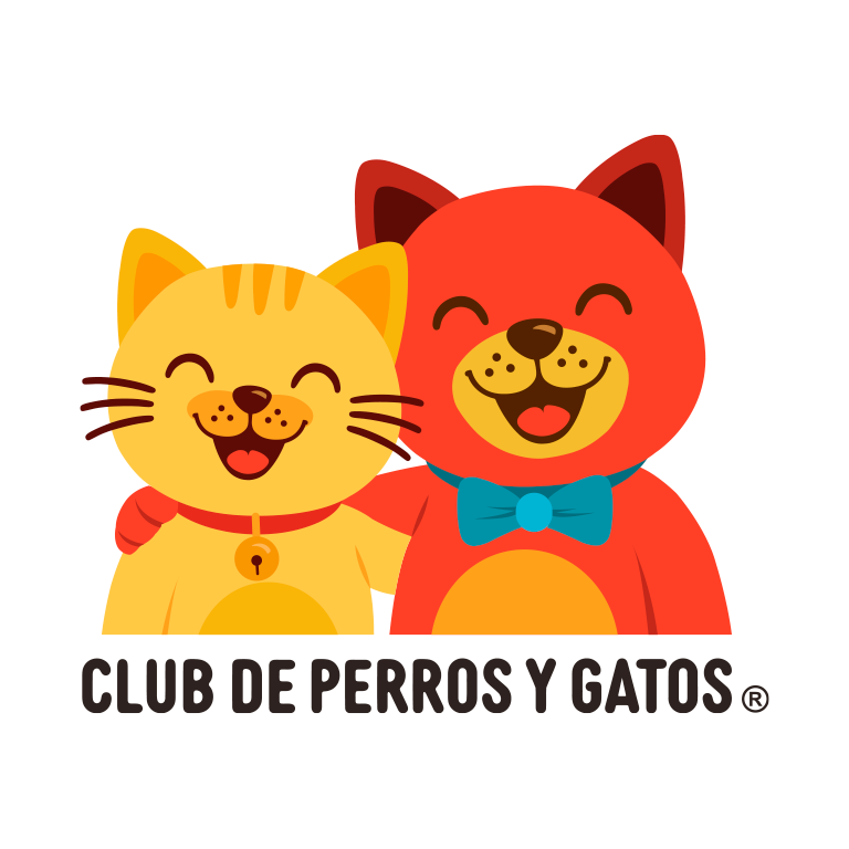 Camas para perros y gatos en Chile | Descanso y comodidadX